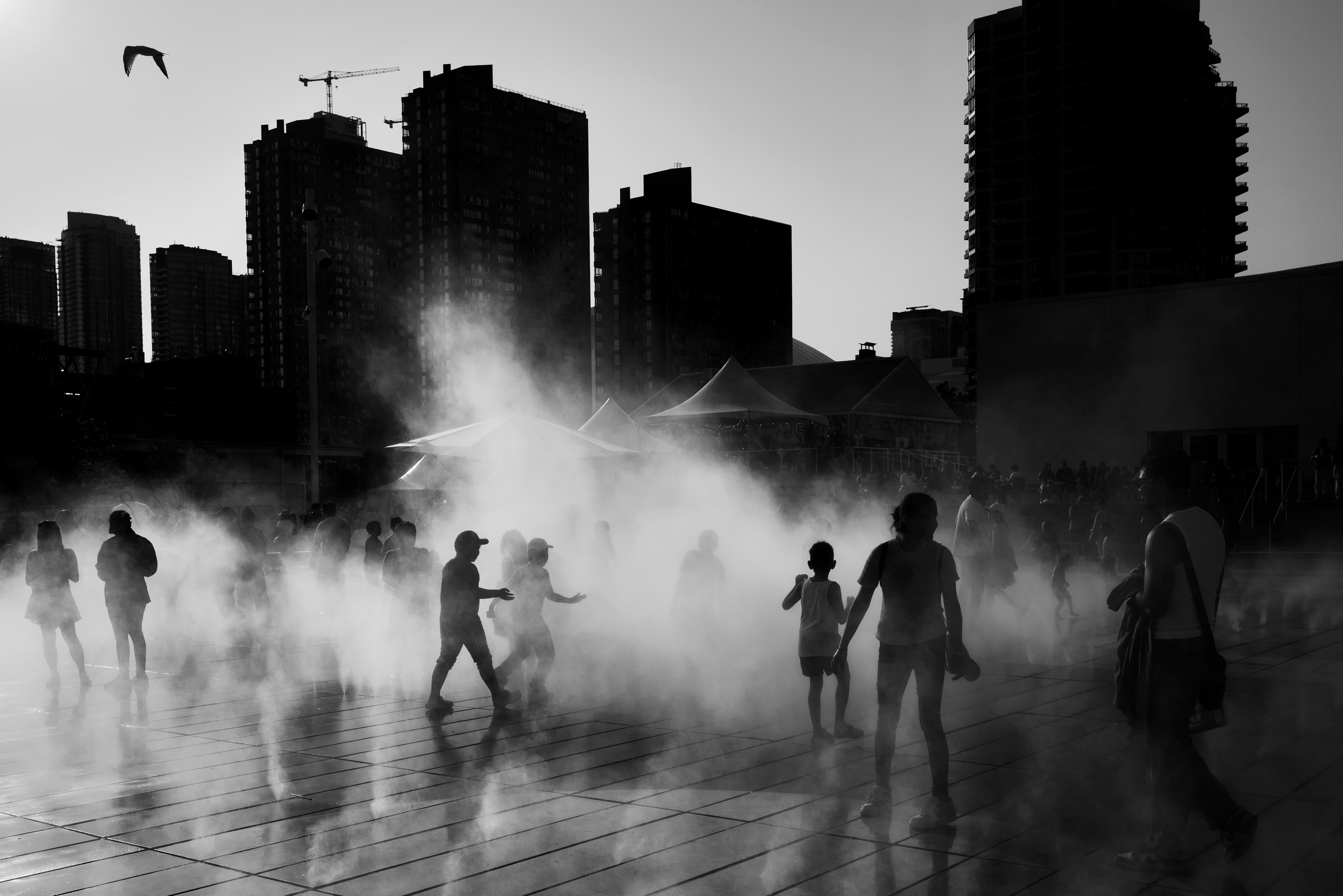 An Amateur Photographer’s Mid-Term Review of the Leica Q2 – Excited Pixels